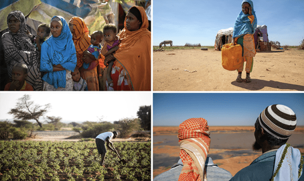 Somalia Climate-Resilient Livelihoods Project 2025 Launches - InAfrika